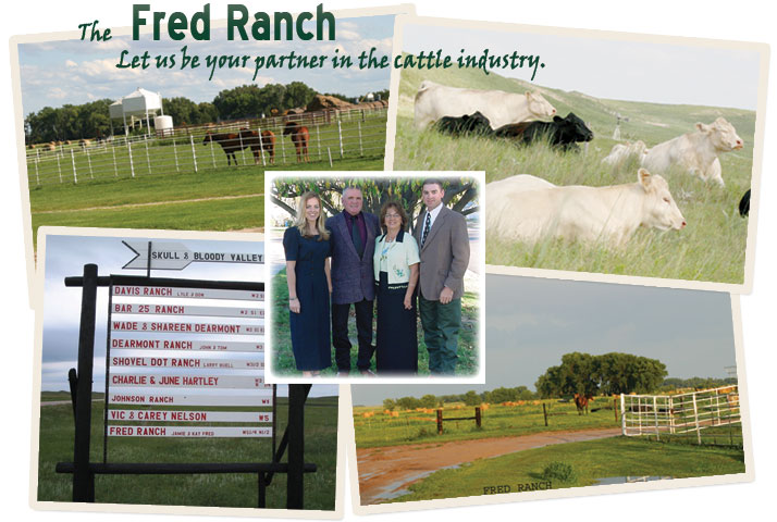 The Herd - Fred Ranch